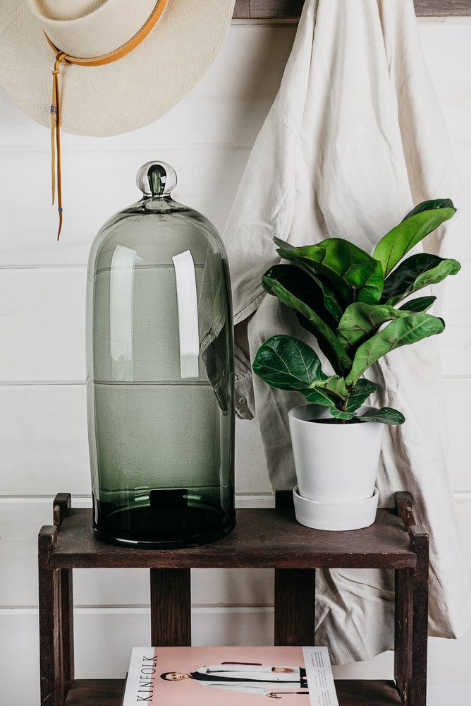 Hand Blown Glass Bell Jar – The Highlands Foundry